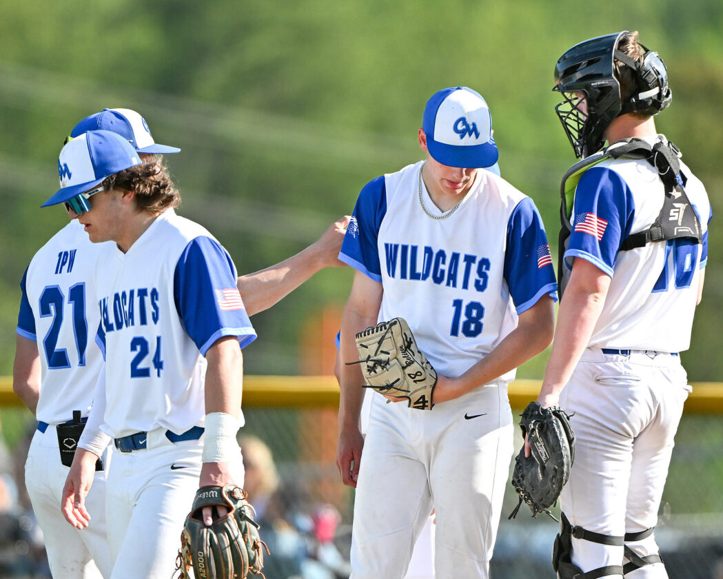 Wildcats season comes to an end in district final in baseball | News, Sports, Jobs - The Express